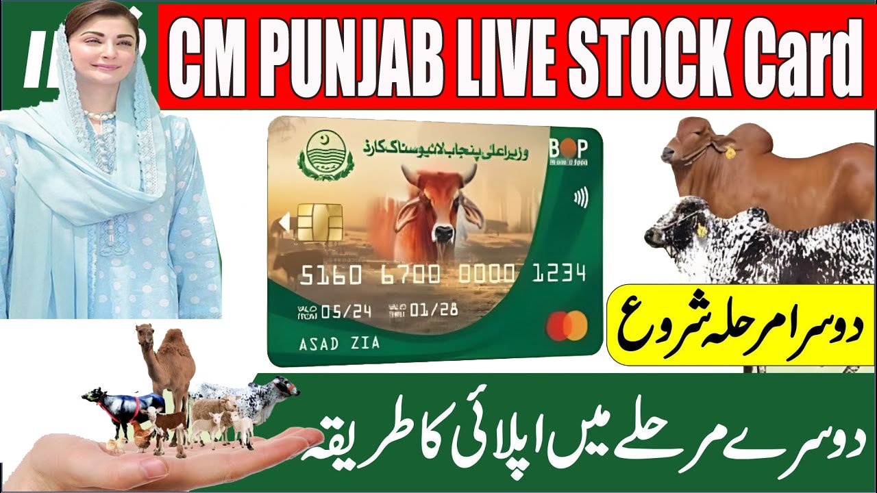 CM Punjab Rashan Card Scheme 2026: Apply Online, Status & New Subsidies