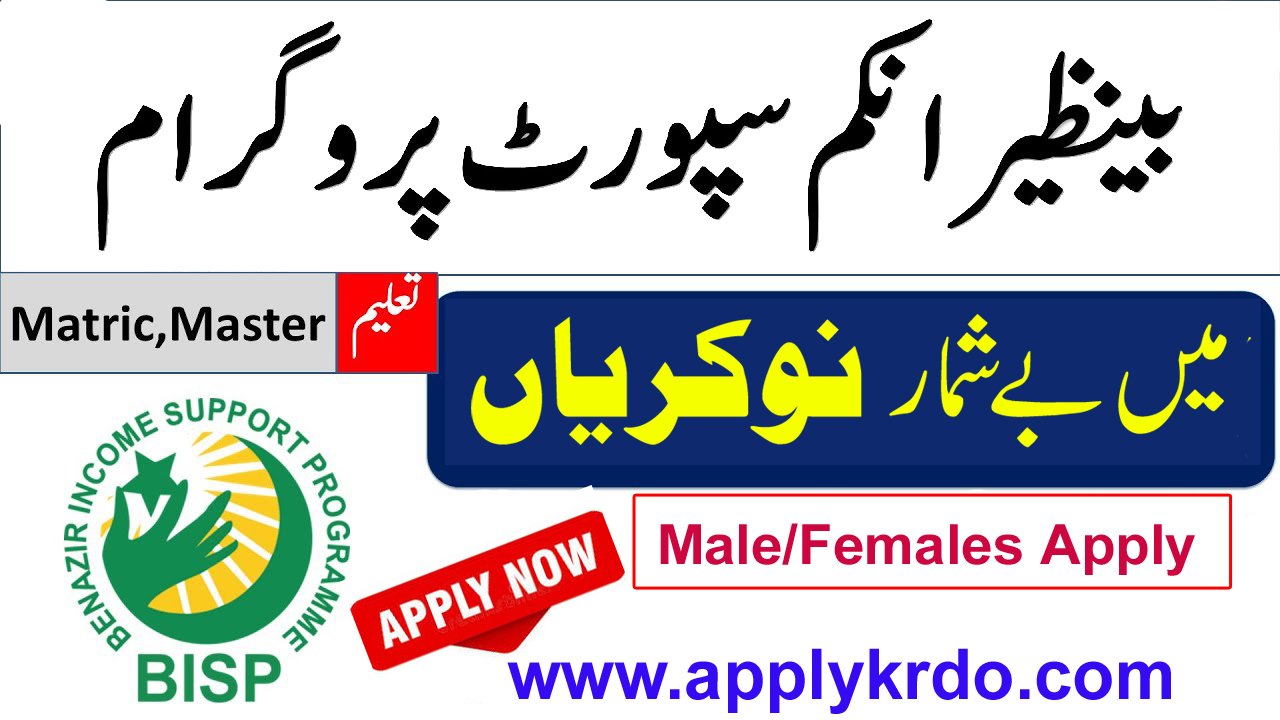 BISP Jobs 2026: Online Application | All Province